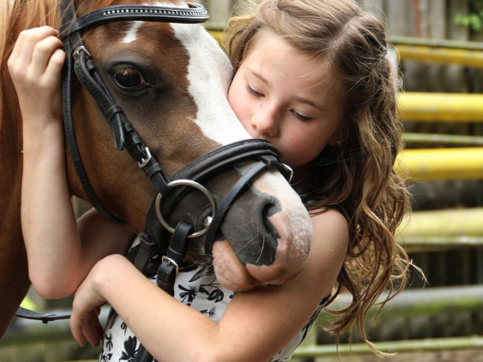 Pet counseling - Ec-Bologna